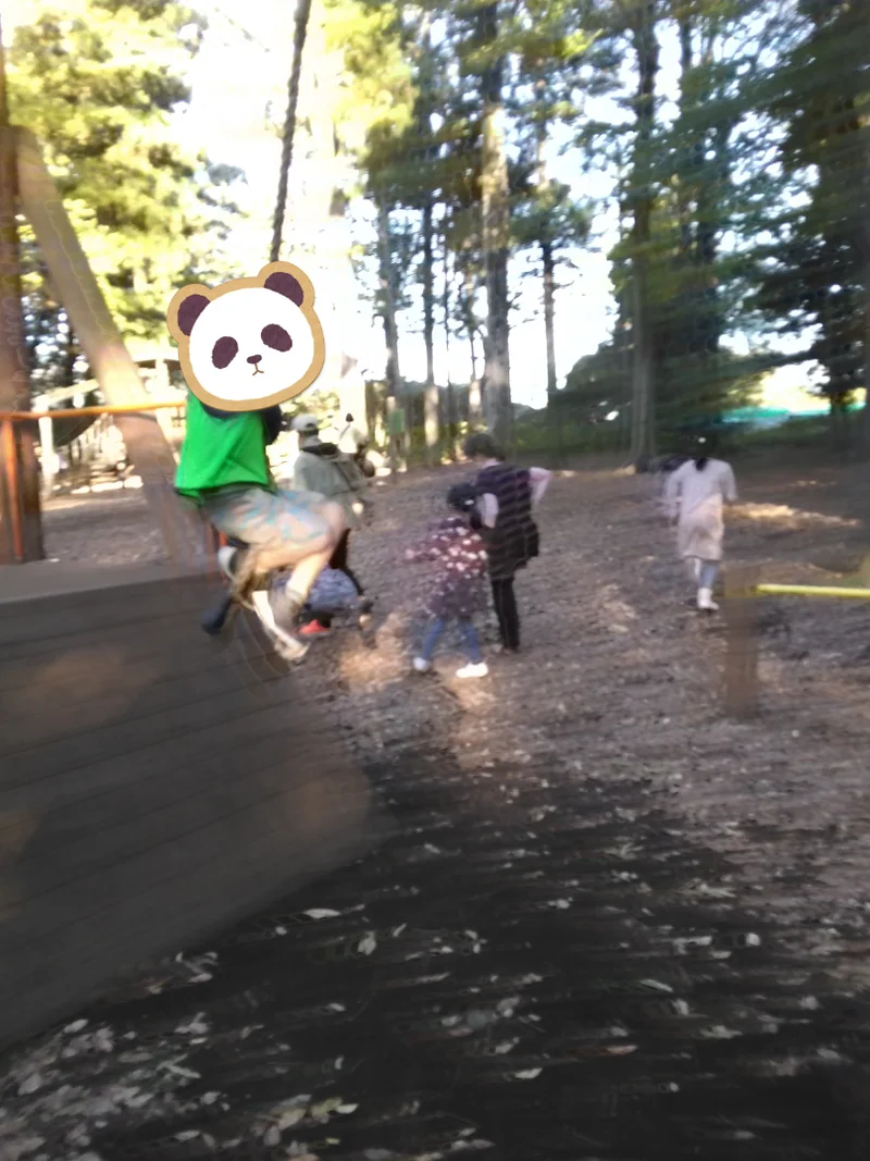 11月19日 toiro橋本 vol96 | 神奈川県指定事業者toiro