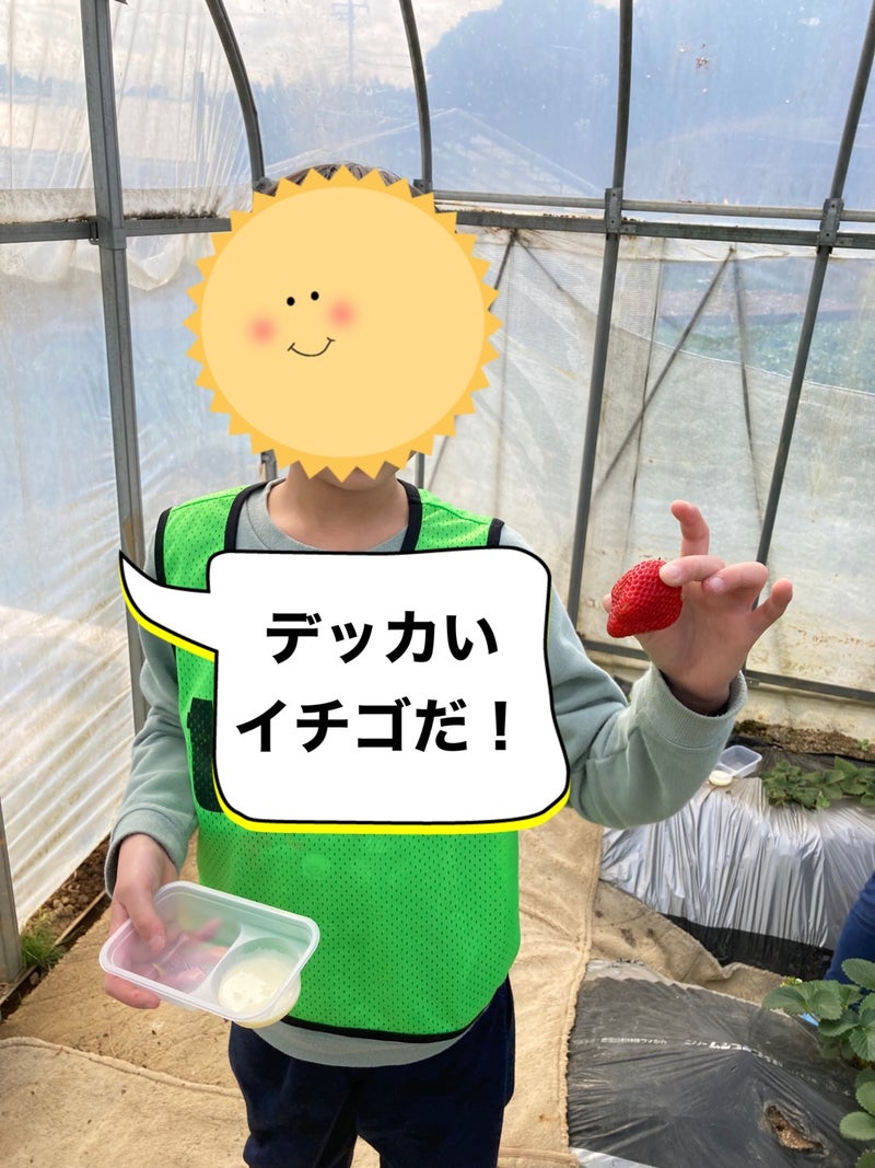 toiro 大津 2月18日（日）☆いちご狩り☆ | 神奈川県指定事業者toiro