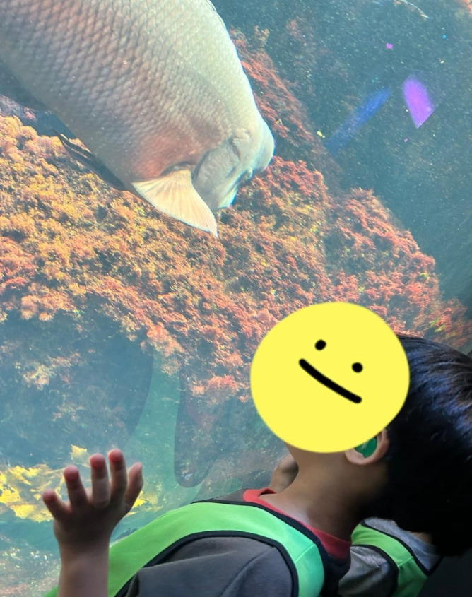 11月24日（月） トイロ金井 第1教室 | 神奈川県指定事業者トイロ(toiro)