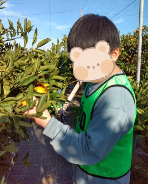 11月15日（土）☆toiro根岸☆ みかん狩り | 神奈川県指定事業者トイロ(toiro)